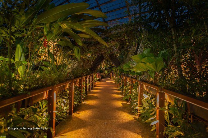 Penang City and Entopia Butterfly Farm Tour - Colonial Heritage and Heritage Walk