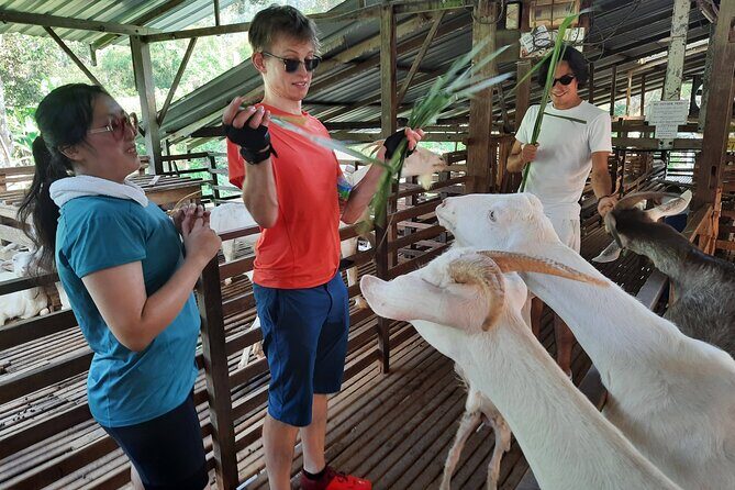 Penang Countryside Cycling Tour. PPA2 by Matahari - Who Would Benefit Most from This Tour?
