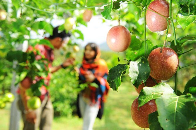 Penang Essentials Tour: Top Landmarks & Tropical Fruit Farm - The Sum Up