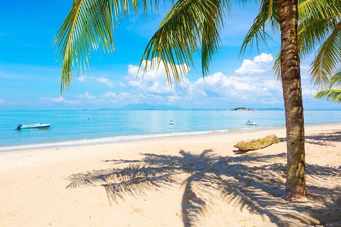 Penang Full Day Tour - What the Tour Really Means for You