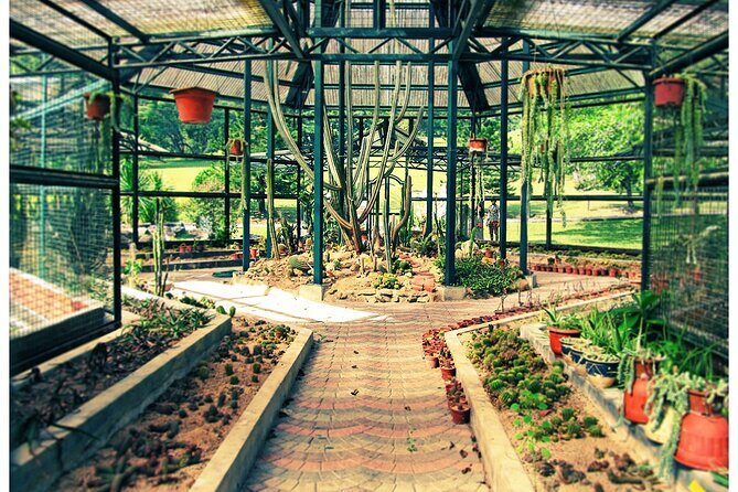 Penang Full Day Tour - FAQs