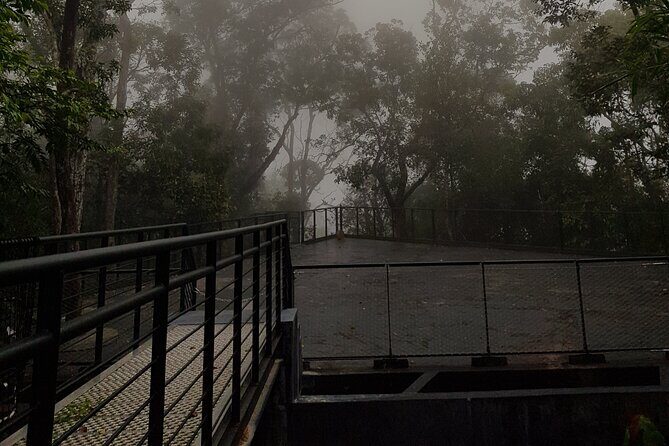 Penang Hill & Pagoda Tour with Food Tasting (Tickets Included) - An In-Depth Look at the Experience