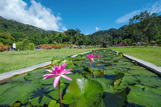 Penang Hill(FastLane),Ferringhi Beach,Botanic Garden & Kek Lok Si - Who Will Love This Tour?