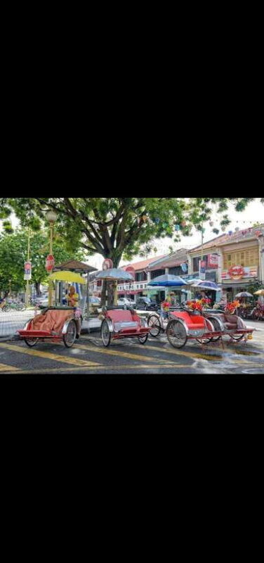 Penang: Penang Island Full-Day Private Tour - FAQ