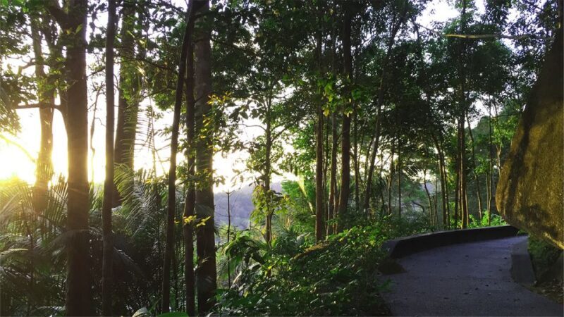 Penang: The Habitat Penang Hill Entry Ticket - An In-Depth Look at The Habitat Penang Hill Experience