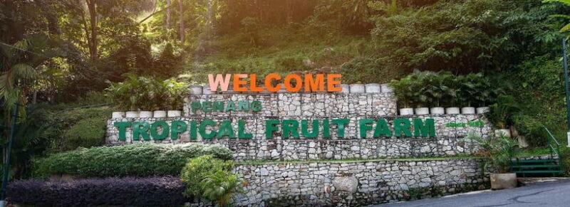 Penang: Tropical Fruit Farm Ticket - The Practicalities: Price, Duration, and Logistics