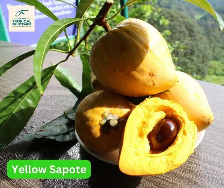 Penang: Tropical Fruit Farm Ticket - Frequently Asked Questions