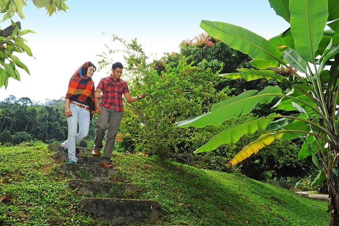 Penang Tropical Fruit Farm with Fruit Tasting - The Sum Up