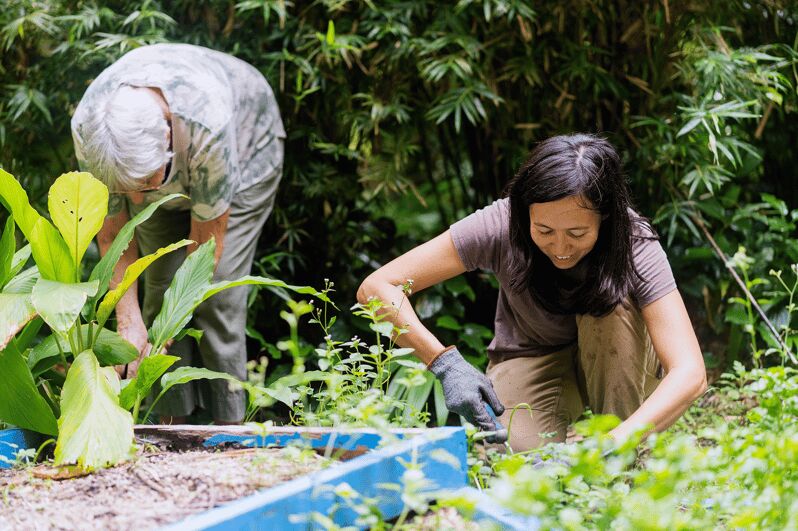 Penang: Tropical Spice Garden Entrance Ticket & Guided Tours - An In-Depth Look at the Tropical Spice Garden