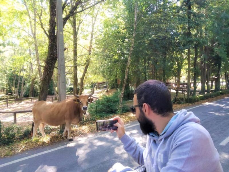 Peneda-Gerês: Full-Day Premium Tour - Final Thoughts: Who is This Tour Best For?
