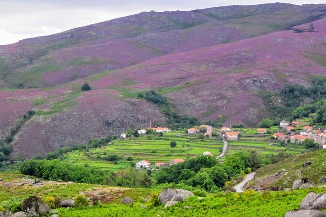 Peneda-Gerês Hiking & Sightseeing: Private Experience - Deep Dive into the Experience