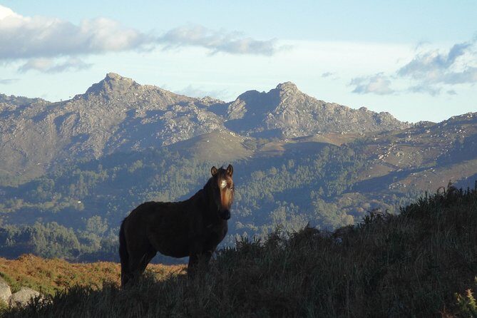 Peneda-Gerês National Park - A Time Travel Through The Mountains - - Practical Considerations