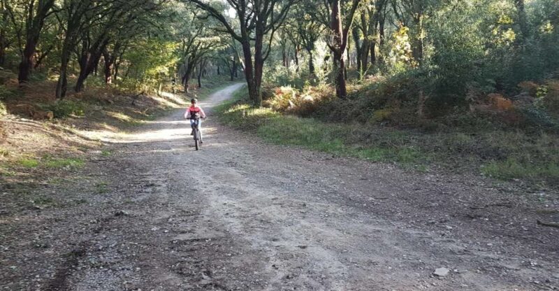 Peneda Gerês National Park: Self-Guided Electric Bike Tour - Key Points