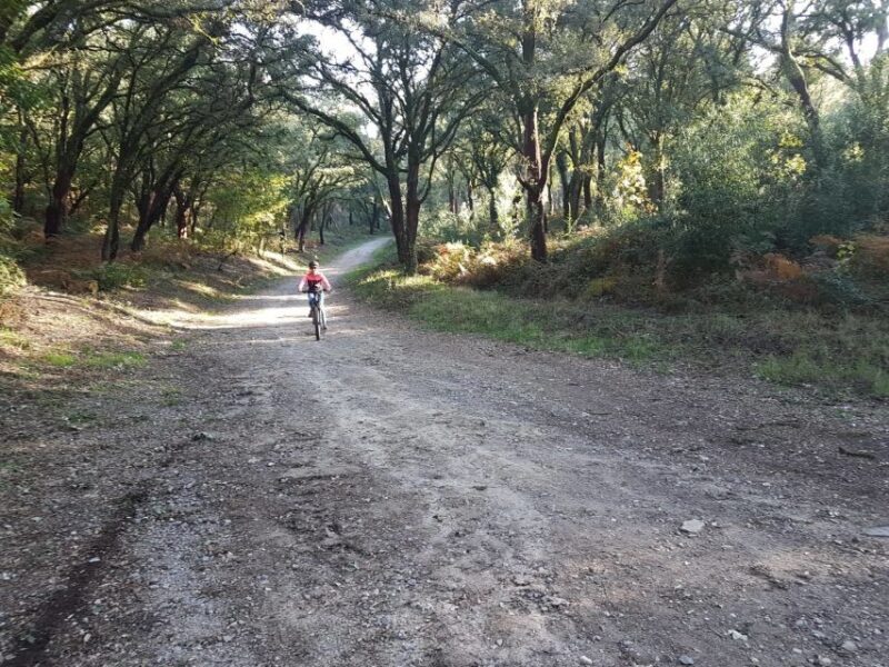 Peneda Gerês National Park: Self-Guided Electric Bike Tour - The Itinerary Breakdown: What to Expect