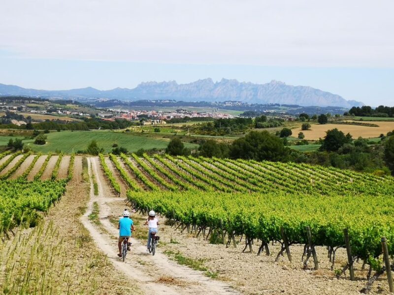 Penedès/BCN: Self-Guided eBike Tour with guided Winery Visit - An In-Depth Look at the Penedès eBike Tour Experience