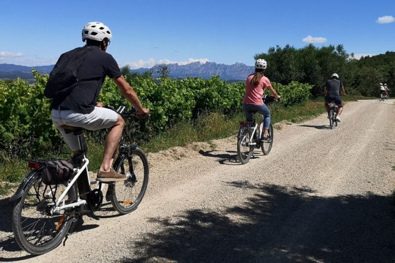 Penedès/BCN: Self-Guided eBike Tour with guided Winery Visit - Final Thoughts