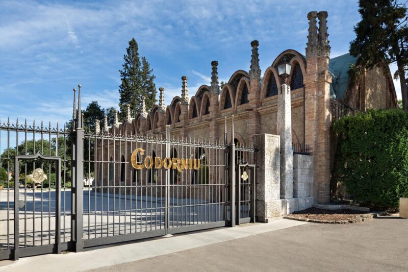 Penedès: Discovery Tour with Cava Tasting - Penedès: Discovery Tour with Cava Tasting – A Deep Dive into Catalonia’s Sparkling Heritage