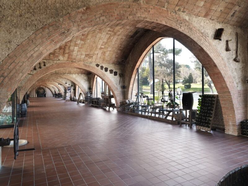 Penedès: Discovery Tour with Cava Tasting - Additional Considerations