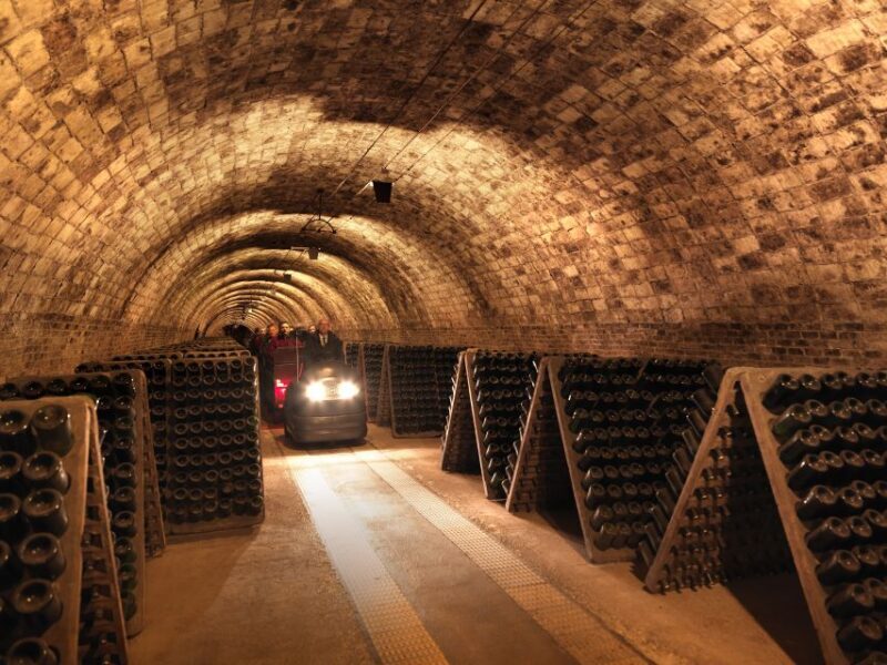Penedès: Discovery Tour with Cava Tasting - The Sum Up