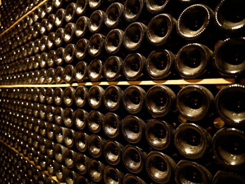 Penedès Vine to Wine: Personalized Cava taste&craft Workshop - Key Points