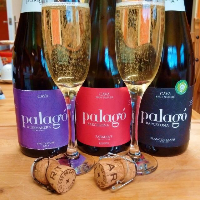 Penedès Vine to Wine: Personalized Cava taste&craft Workshop - What to Expect: An In-Depth Look