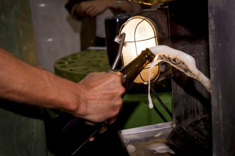 Penedès Vine to Wine: Personalized Cava taste&craft Workshop - Final thoughts