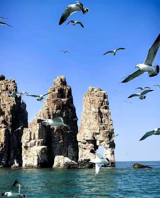 Penglai: Changdao Island Tour - An In-Depth Look at the Changdao Island Tour