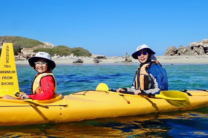 Penguin and Seal Islands Sea Kayaking Experience - The Sum Up: Is the Penguin and Seal Islands Sea Kayaking Experience Worth It?
