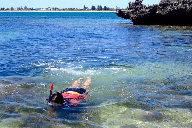 Penguin and Seal Islands Sea Kayaking Experience - Frequently Asked Questions