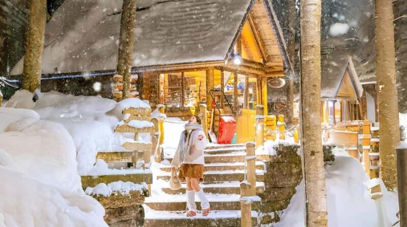 Penguin Fun & Snowmobile : Sapporo Winter (Asahiyama Zoo) - A Deep Dive into the Tour