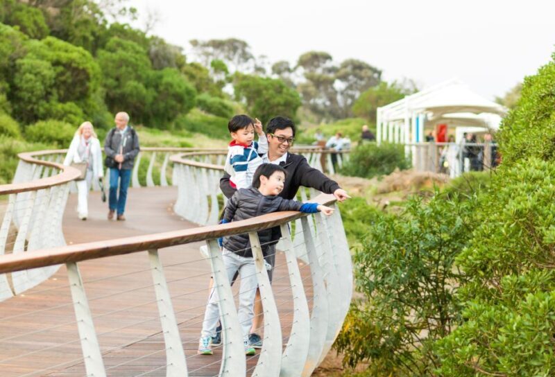 Penguin Parade: General Viewing Ticket - Wrap-up and Final Thoughts
