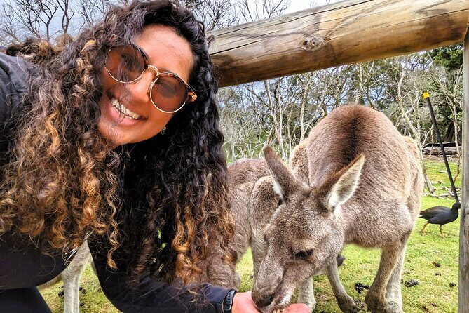 Penguin Parade, & Wildlife Encounters Eco Tour from Melbourne - Who Should Consider This Tour?