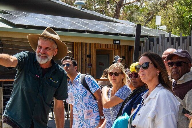 Penguin Parade, & Wildlife Encounters Eco Tour from Melbourne - Final Thoughts
