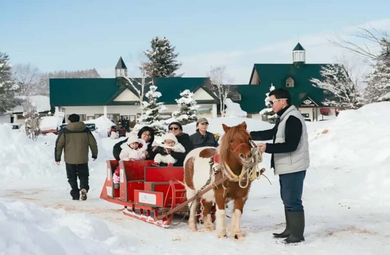 Penguins, Countryside & Fairytale VillageSapporo Day Trip - Practicalities and Considerations