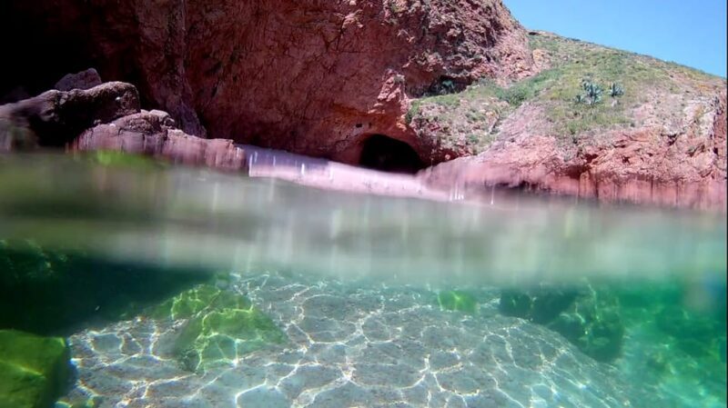 Peniche: Berlengas Island Catamaran Tour + Snorkeling - Key Points