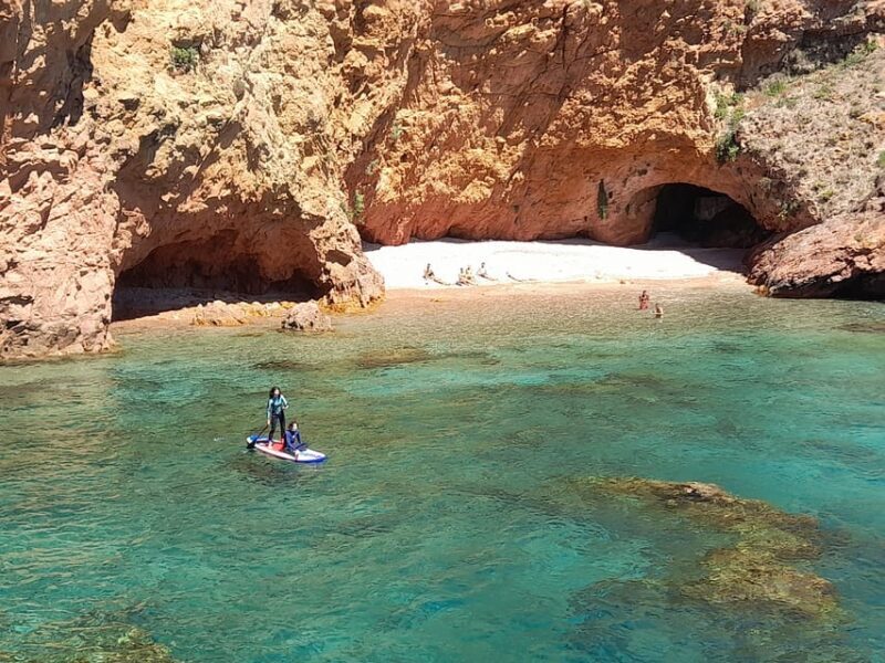 Peniche: Berlengas Island Catamaran Tour + Stand Up Paddle - Why Choose This Tour?