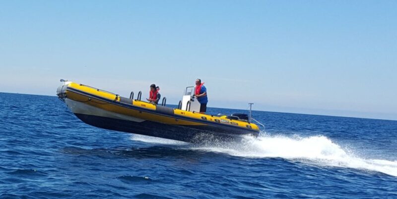 Peniche: Dolphin Route Boat Trip - Final Thoughts