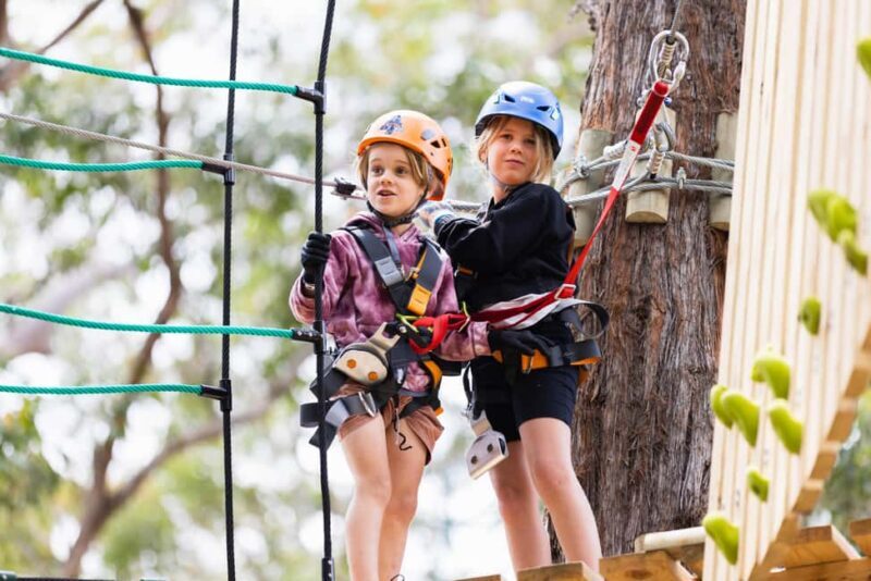 Pennant Hills: Junior Tree Ropes Course - What Makes the Pennant Hills Junior Tree Ropes Course Special?