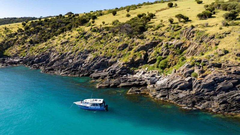 Penneshaw: Kangaroo Island Ultimate Adventure Tour - Introduction