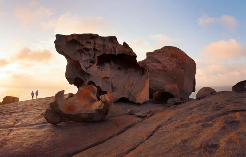 Penneshaw: Shore Excursion Kangaroo Island Scenic Tour - Authentic Experiences and Traveler Insights