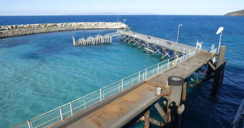 Penneshaw: Shore Excursion Kangaroo Island Scenic Tour - The Sum Up