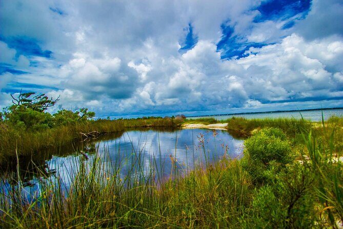 Pensacola Beach Fort Pickens Dolphin Cruise Tour - A Closer Look at the Experience