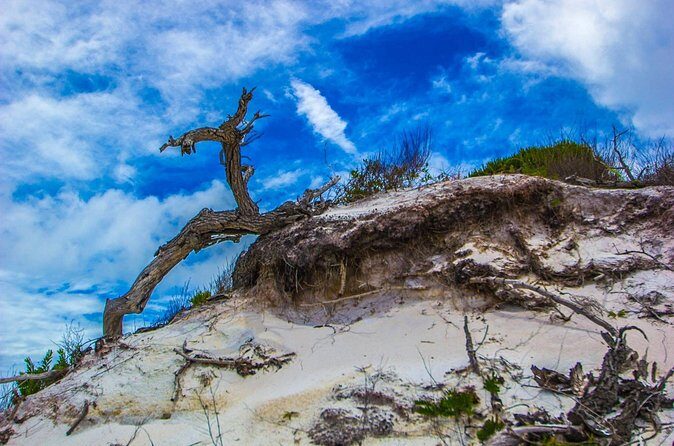 Pensacola Beach Fort Pickens Dolphin Cruise Tour - FAQ