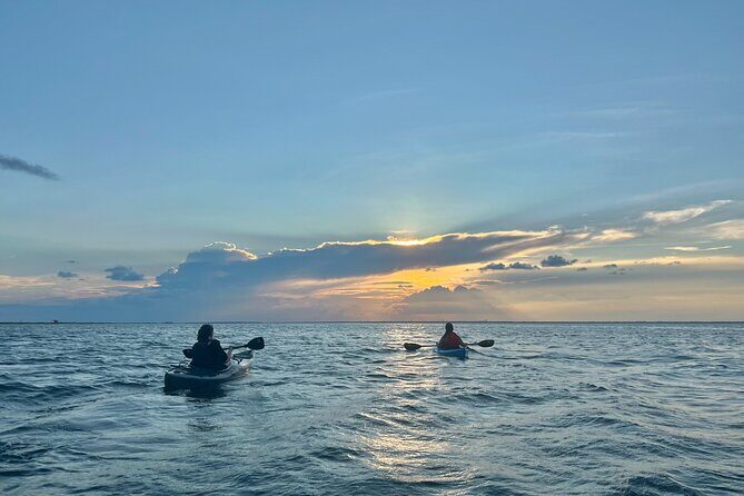 Pensacola Beach Kayak Tour - The Experience: A Closer Look at the Pensacola Beach Kayak Tour