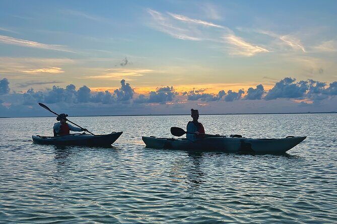 Pensacola Beach Kayak Tour - FAQs about the Pensacola Beach Kayak Tour