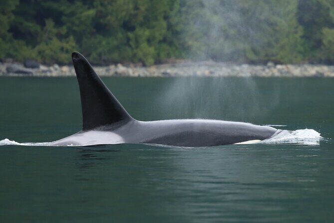 People Water Land- Indigenous Cultural and Wildlife Tour - Who Will Love This Tour?
