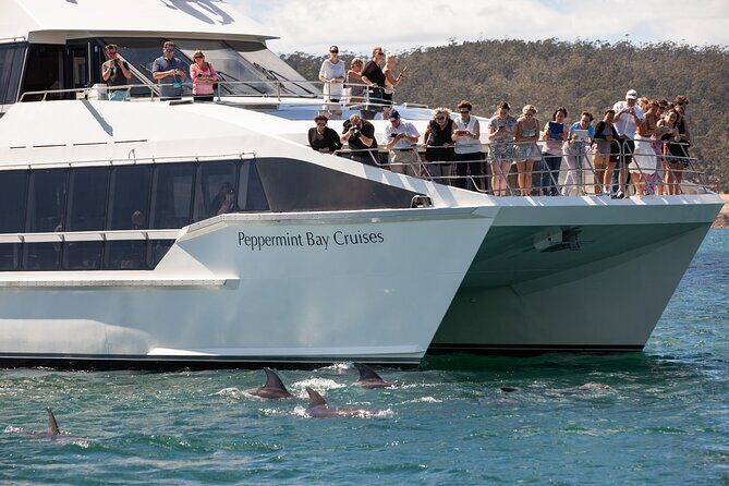 Peppermint Bay Cruise & Lunch - A Relaxing Day on Hobart’s Waters: Peppermint Bay Cruise & Lunch