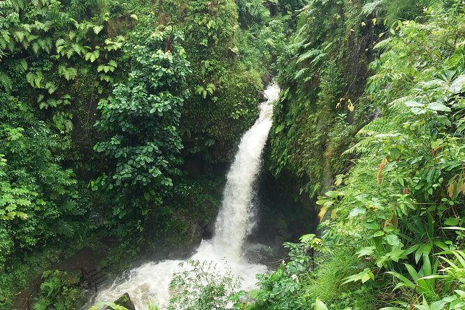 Pepper's 4-Hour Special - Key Points