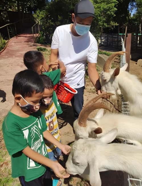 Perak: Bukit Merah Laketown Waterpark Admission Ticket - Who Should Visit?