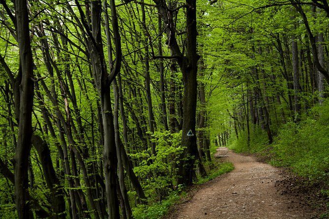 Perfect bike tour around Brasov - Why This Bike Tour Stands Out